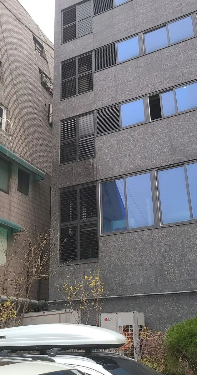 씨젠휘트스센타 박정희 숨고 숨은고수