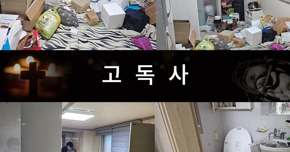 의정부 고독사 이시현 숨고 숨은고수