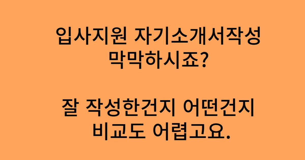 포트폴리오 럭키자소서 숨고 숨은고수