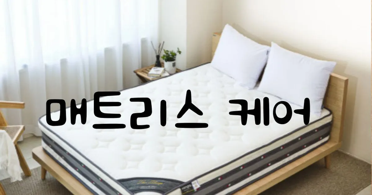 매트리스 케어 미새먼지 및 얼룩제거 라이프솔루션즈 프리미엄 패브릭 케어 숨고 숨은고수