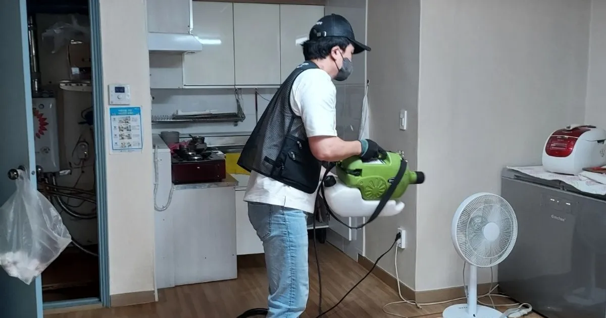 바퀴벌레 방제작업 한국방역공사 숨고 숨은고수