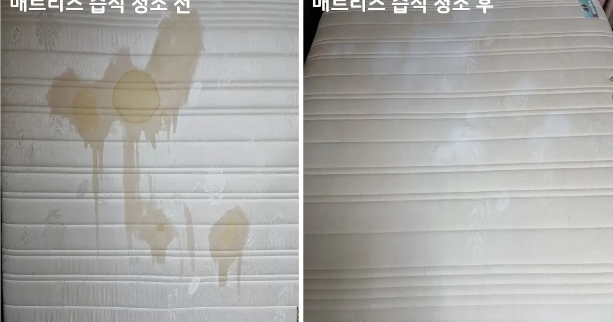 침대 매트리스 곰팡이 습식청소 클린공방 숨고 숨은고수