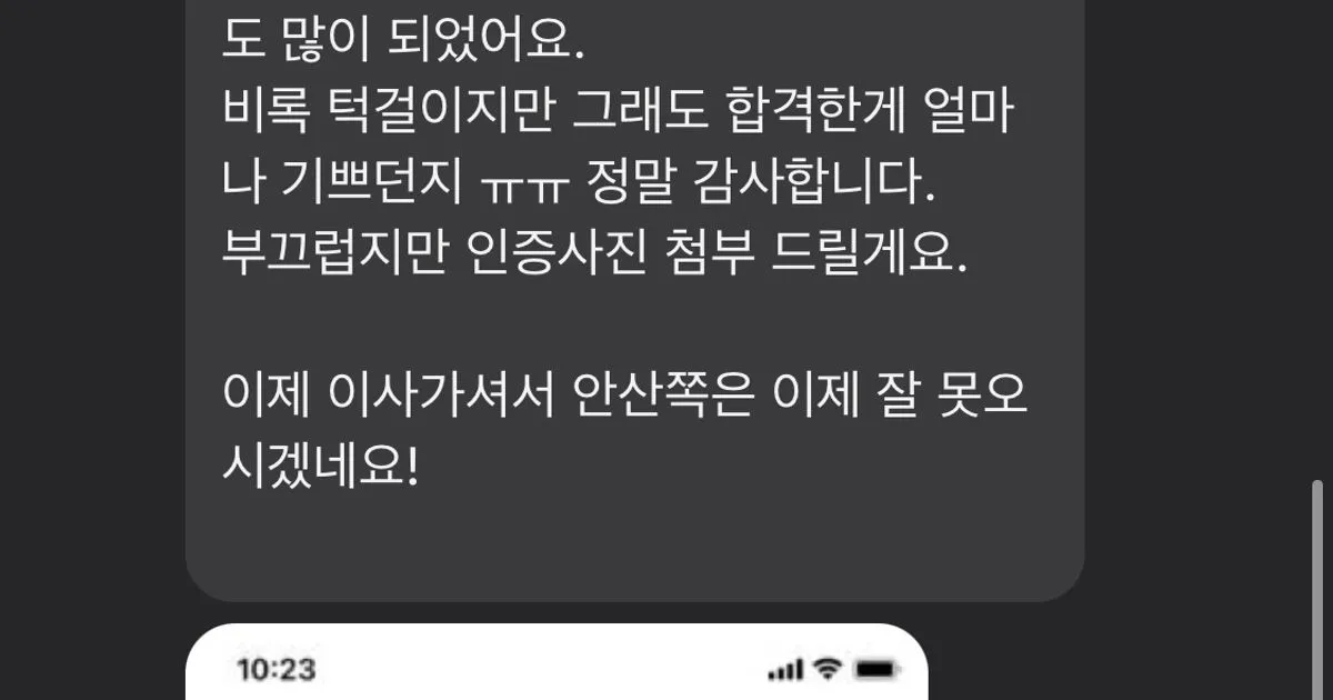 Jlpt 합격후기 미니쨩 숨고 숨은고수