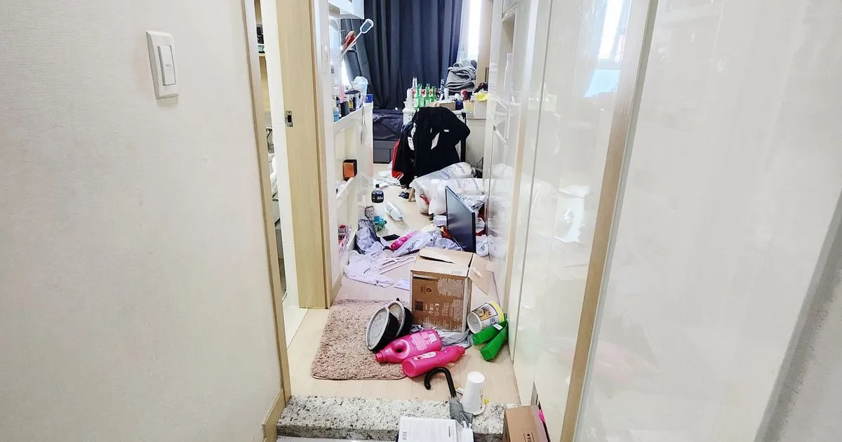 쓰레기집 청소 이선영 숨고 숨은고수