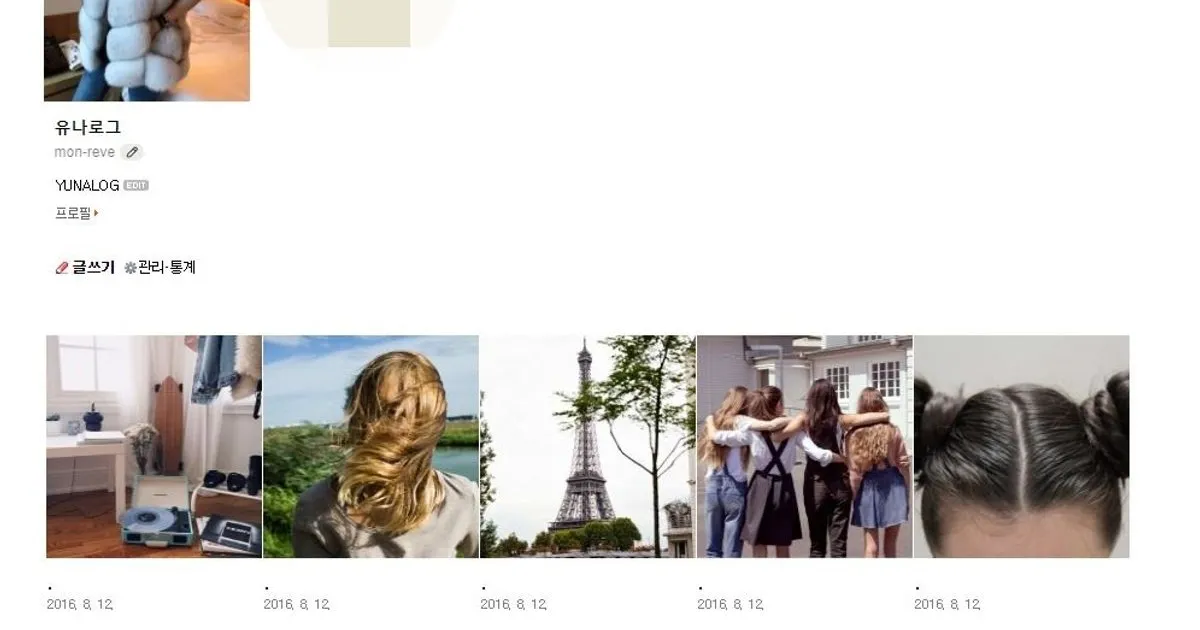 블로그포스팅 및 관리 최혜윤 숨고 숨은고수