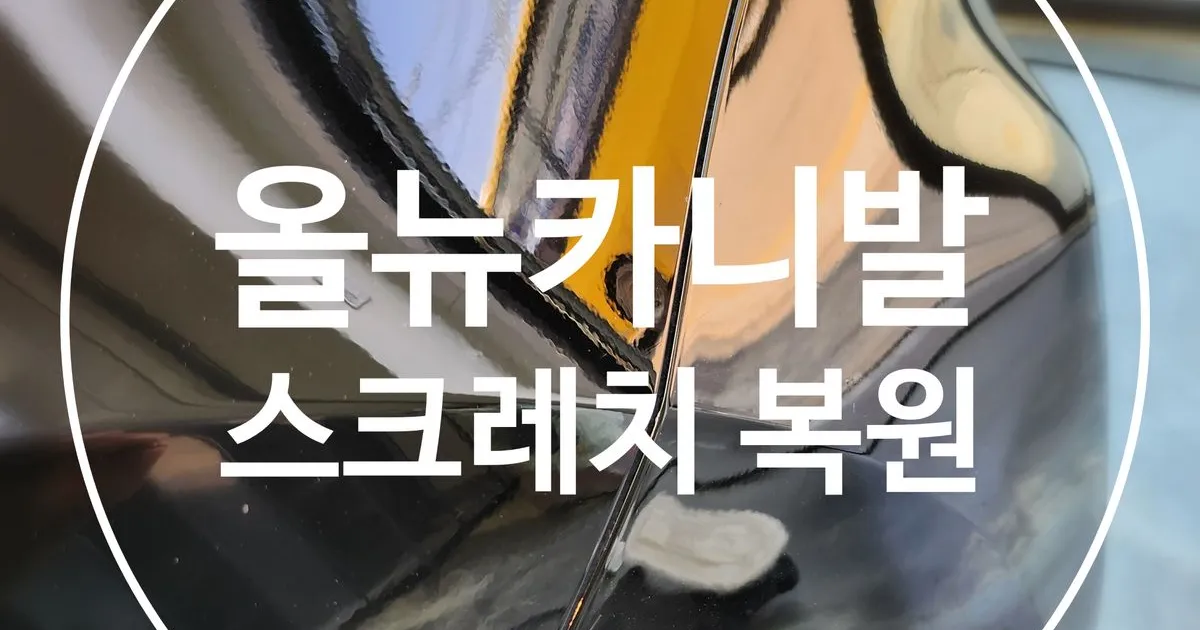 올뉴카니발 스크레치 복원 글라스틴트and애니가드 보이트 화성 향남점 숨고 숨은고수