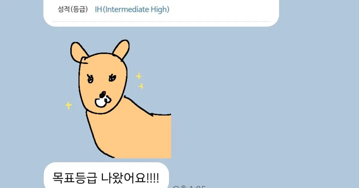 오픽 Ih 온라인 수업 유성호 숨고 숨은고수
