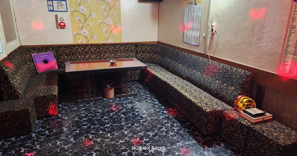 노래방 소파 친환경 세탁작업 살균소독 허니룸케어 프리미엄 본점 숨고 숨은고수