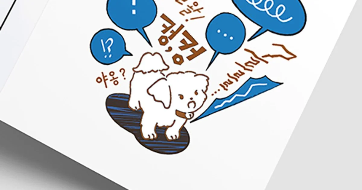 브로슈어 스튜디오 시트러스 숨고 숨은고수