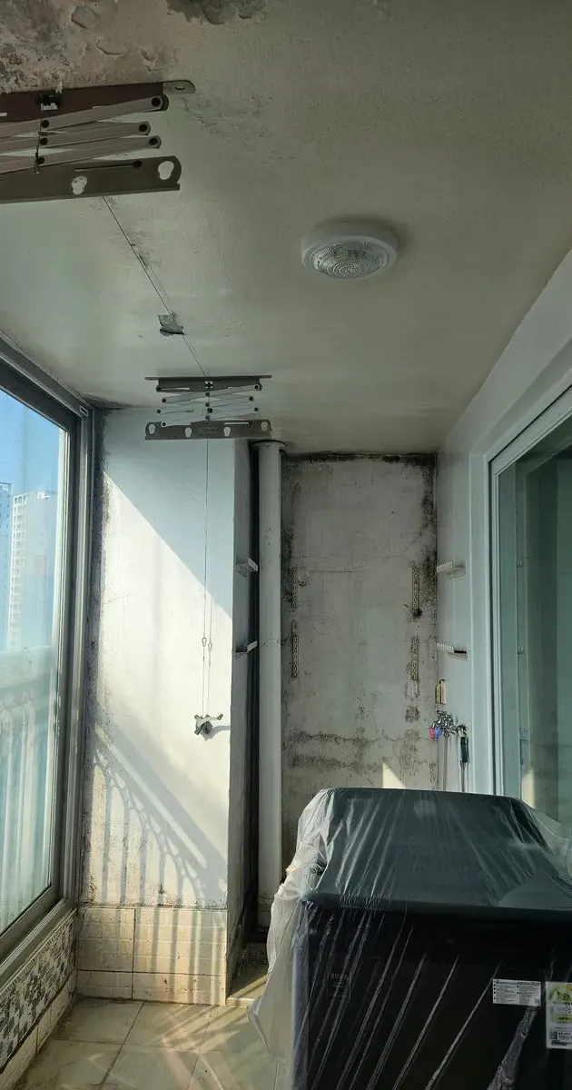 베란다 곰팡이 제거후 페인트 시공 산들홈케어 숨고 숨은고수
