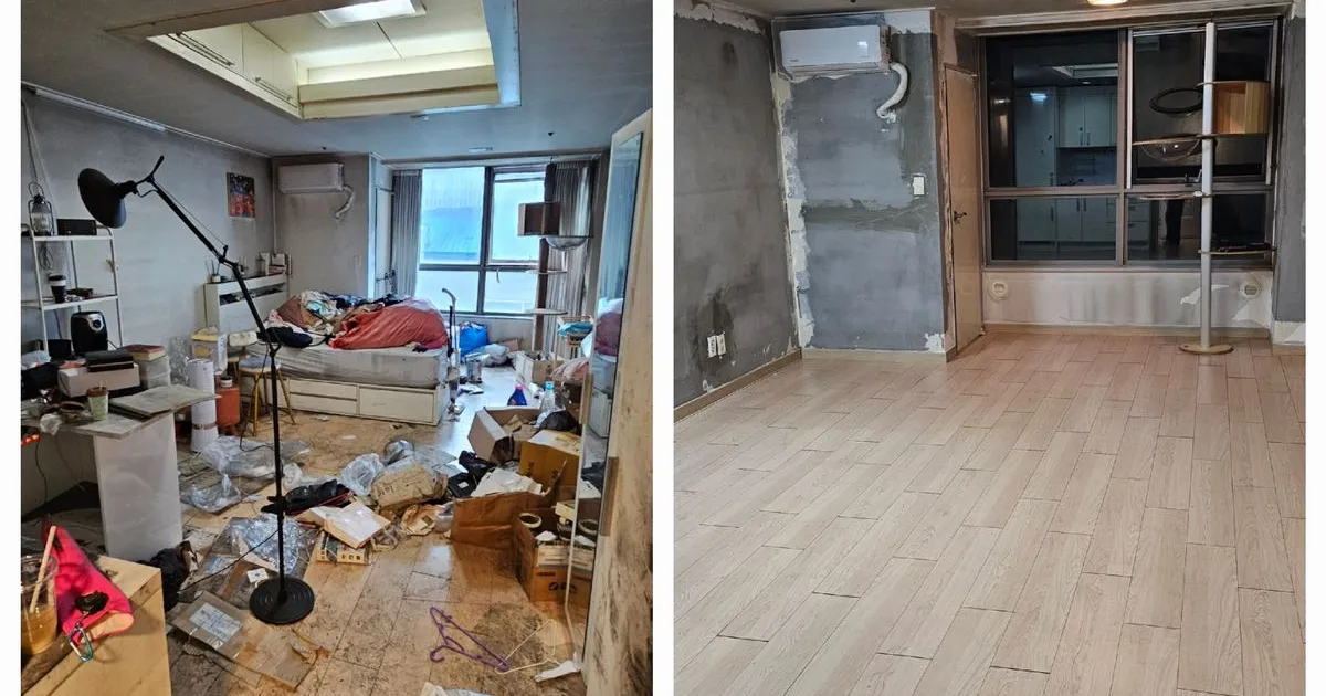 강남원룸화재청소 숨고 1위 한집만홈클린 숨고 숨은고수
