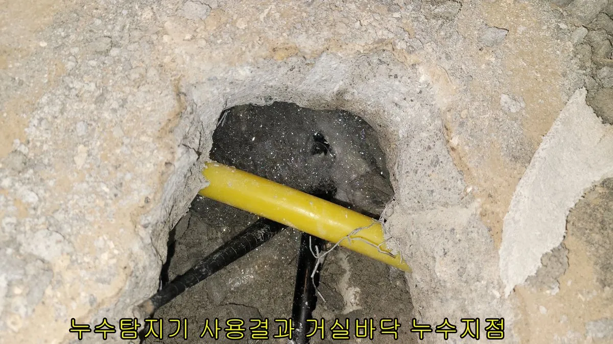 아파트 온수배관 누수탐지 김영국 숨고 숨은고수