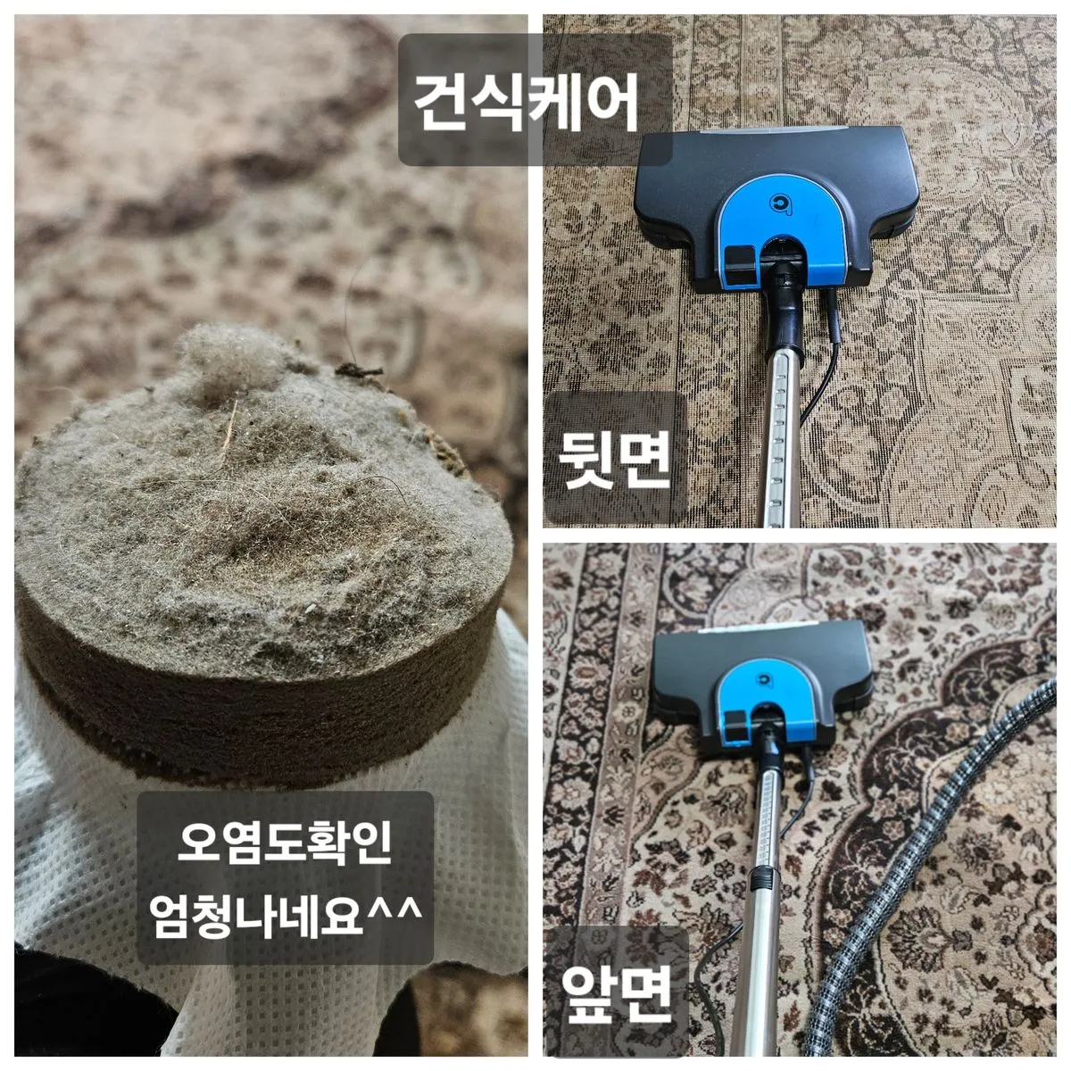 파주 운정동 카페트케어수거배송 클린신 비치움 숨고 숨은고수