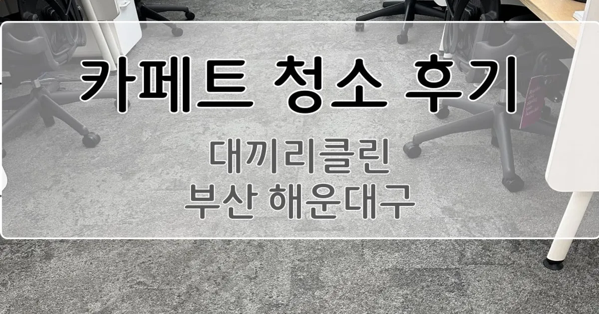 카페트 청소 디지알대끼리클린 숨고 숨은고수