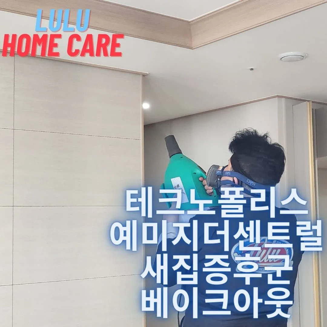 새집증후군 베이크아웃 시공 룰루홈케어 숨고 숨은고수
