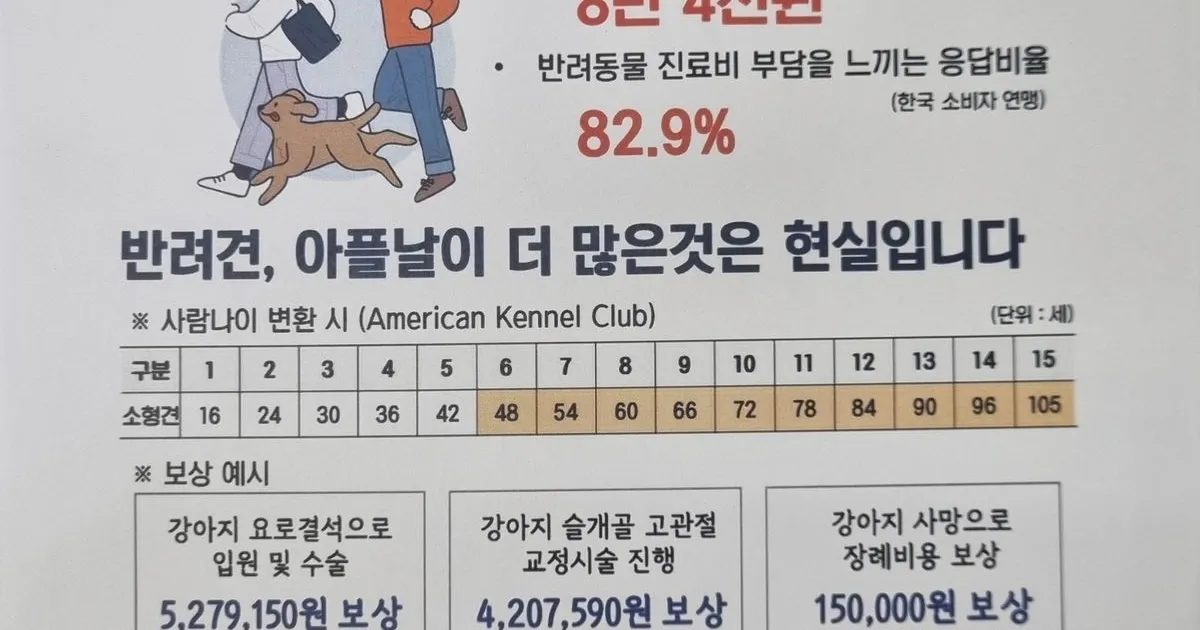 보험은 보이지 않은 재산입니다 양영란 숨고 숨은고수