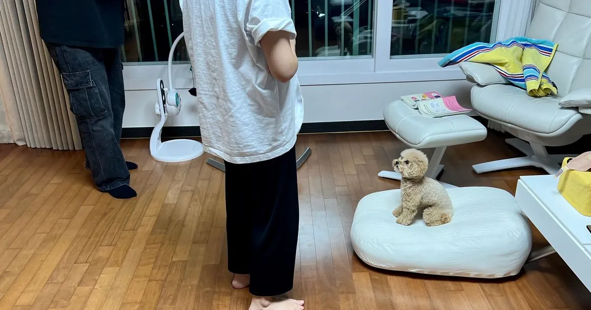 반려견 행동교정 전문 꿈틀 반려견 방문교육 숨고 숨은고수