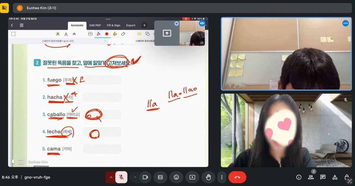 스페인어 초보 화상과외 진행 모습 Emily 은희쌤 숨고 숨은고수