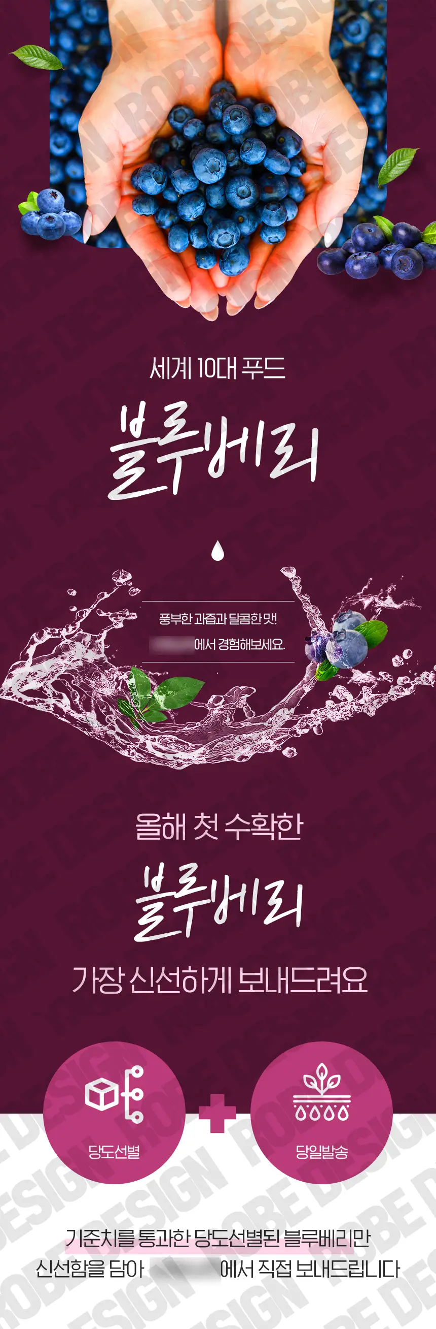 상세페이지 제작 황진희 숨고 숨은고수