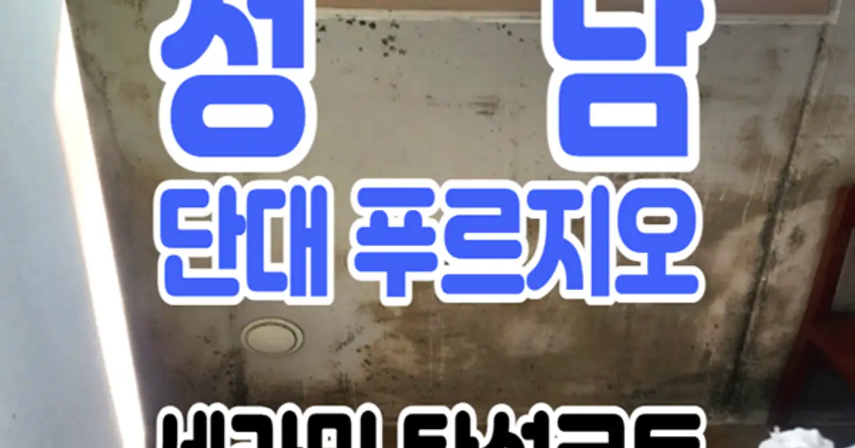 성남탄성코트 단대푸르지오 34평 세라믹탄성 시공완료 결로잡는 곰팡이마스터 숨고 숨은고수