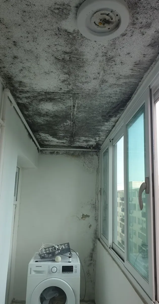 전주 삼천동소재 베란다 규조토페인트 시공입니다 팡이솔루션 숨고 숨은고수