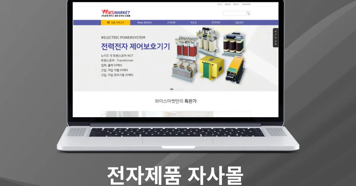 전자제품 자사몰 패스트웹 숨고 숨은고수