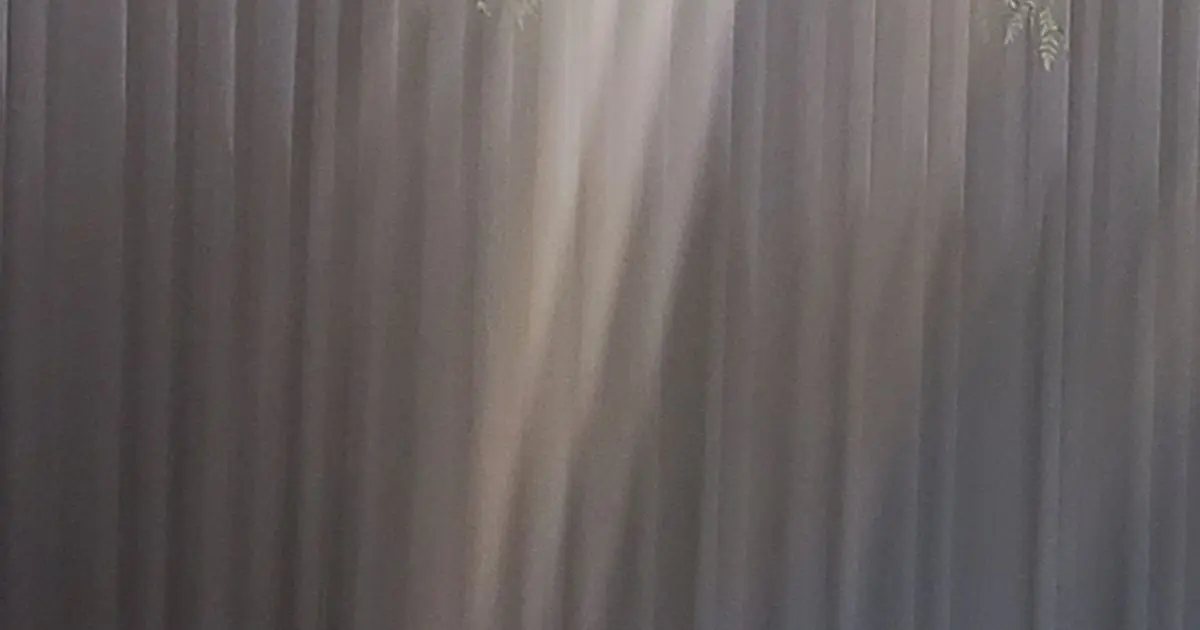 주례없는 결혼식 사회 이준희 숨고 숨은고수