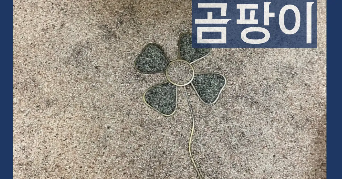 콩자갈수지포장 곰팡이 크림 클리닝 서비스 숨고 숨은고수