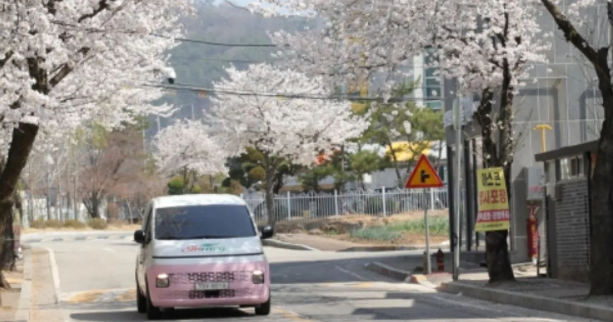 2023 전라남도 장성군 신세계요양원 홍보영상 제작 홍석범 숨고 숨은고수