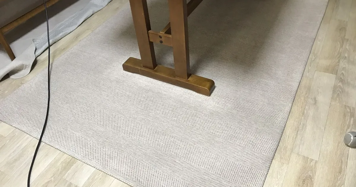 고양이 2마리표 카페트 비치움홈케어솔루션 고양파주 김포점 숨고 숨은고수