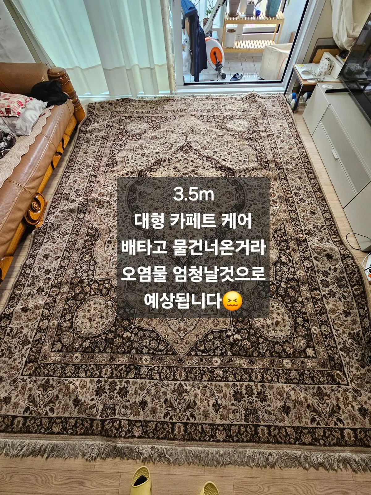 파주 운정동 카페트케어수거배송 클린신 비치움 숨고 숨은고수