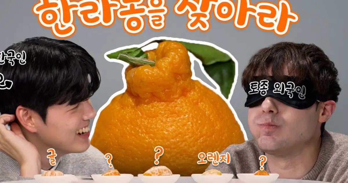 인터뷰 제철건강 딸기편 유 재혁 숨고 숨은고수