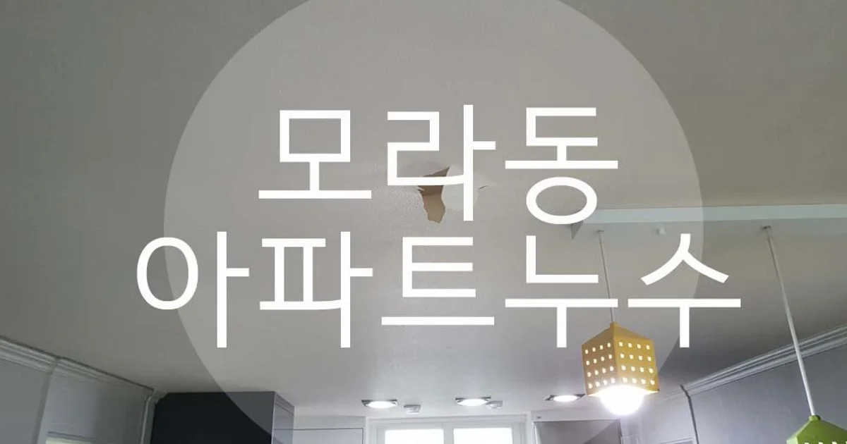 부산시 사상구 모라동 소재의 아파트현장온수배관 누수 우창누수탐지 숨고 숨은고수