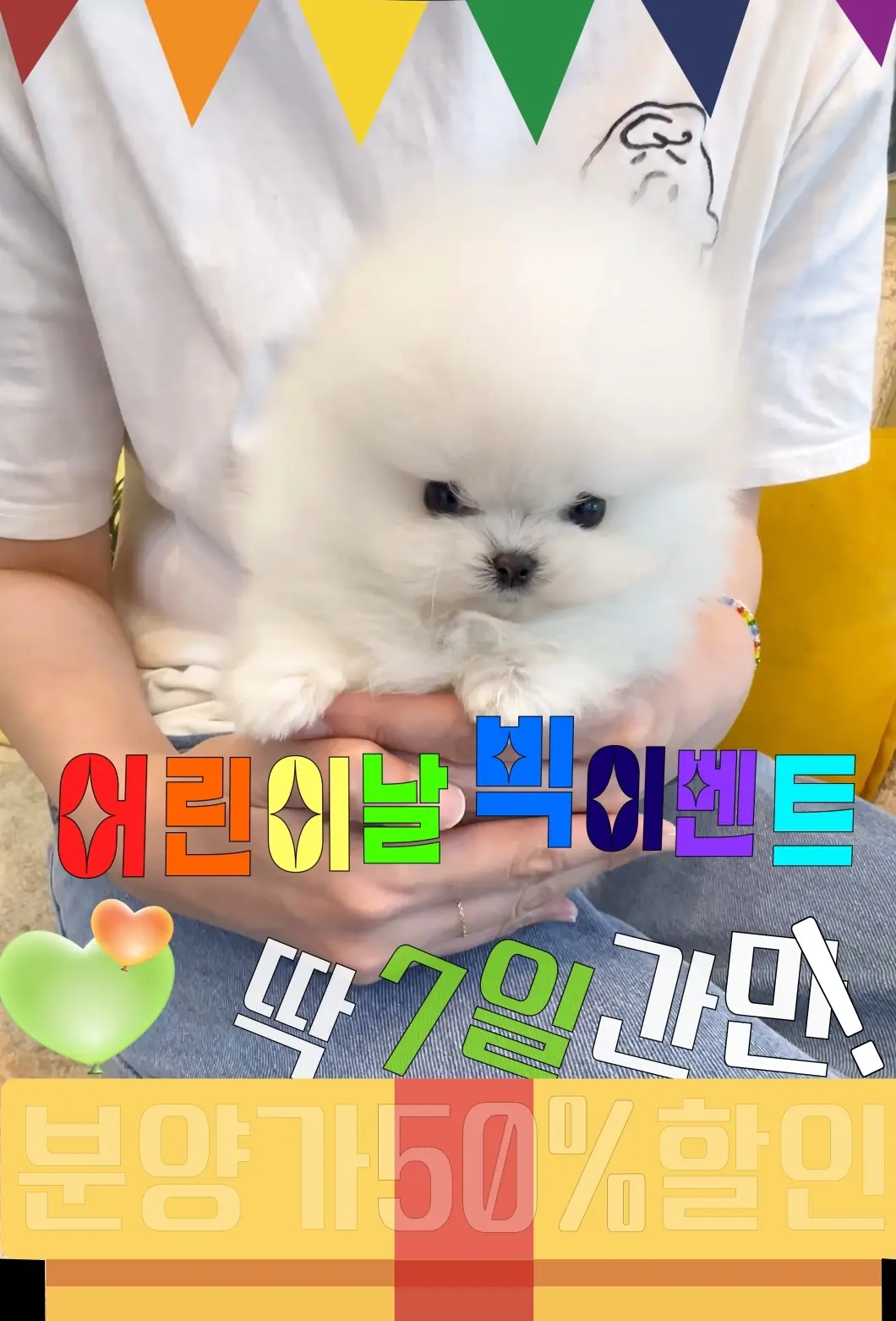 모션그래픽 강아지 쇼츠영상 신동우 숨고 숨은고수
