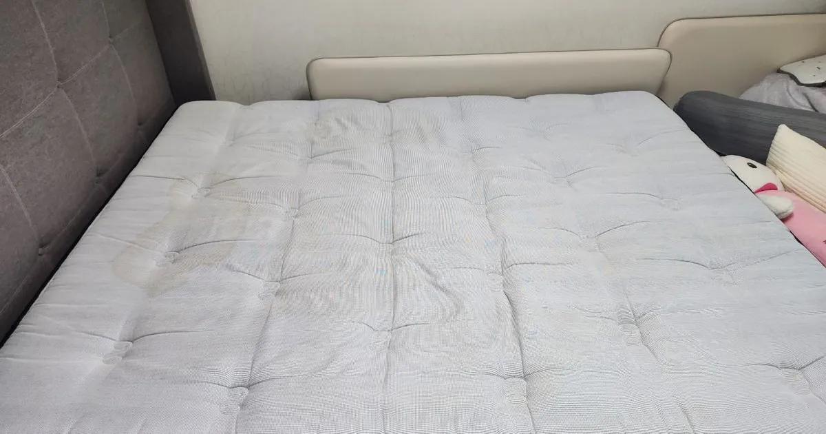 침대매트리스청소 케어 건습식 김민건 숨고 숨은고수
