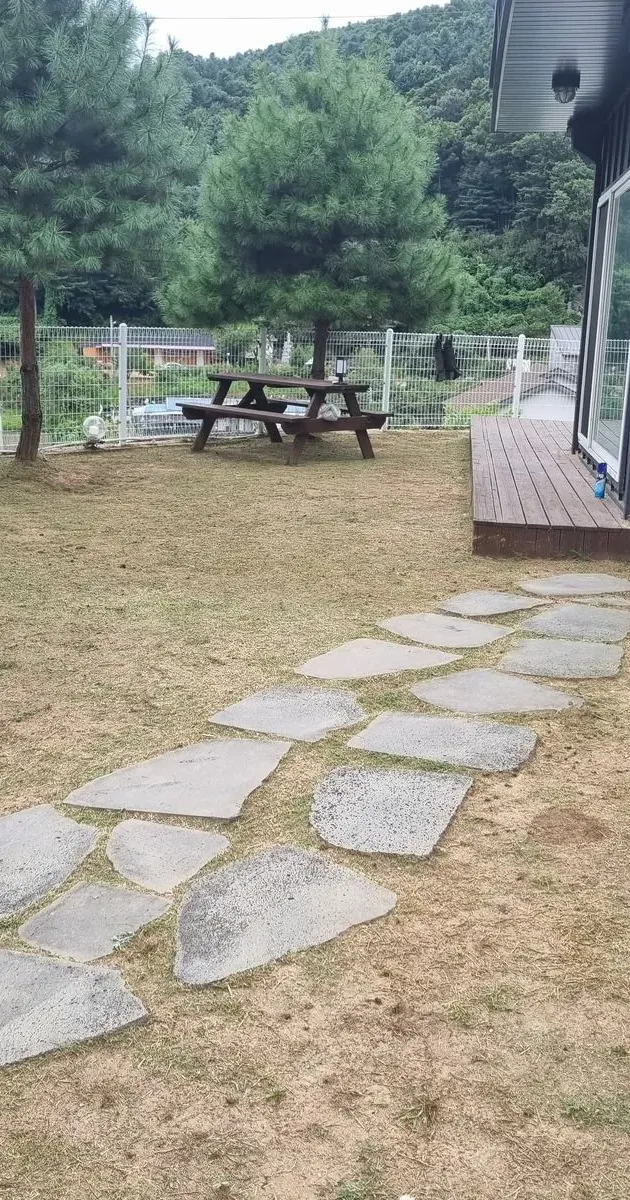 수동면 전원주택 2차 예초작업 조은조경벌초제초정원관리 숨고 숨은고수
