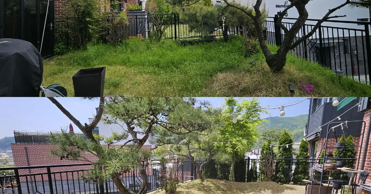 용인 20평 마당 작업 조수범 숨고 숨은고수