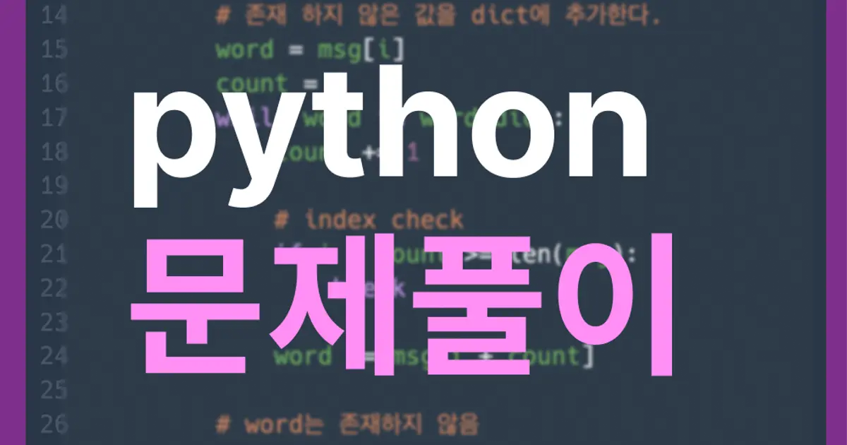 문제풀이 Python Problem Solving 정현우 숨고 숨은고수
