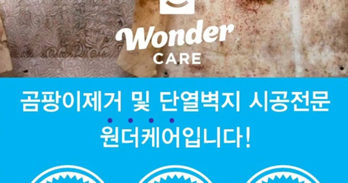 곰팡이 제거 전문기업 원더케어입니다 원더케어 숨고 숨은고수