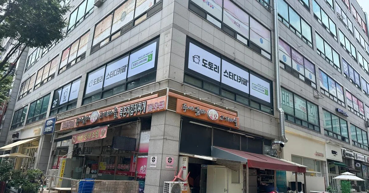 스터디카페 시트지 디자인 금손간판 숨고 숨은고수