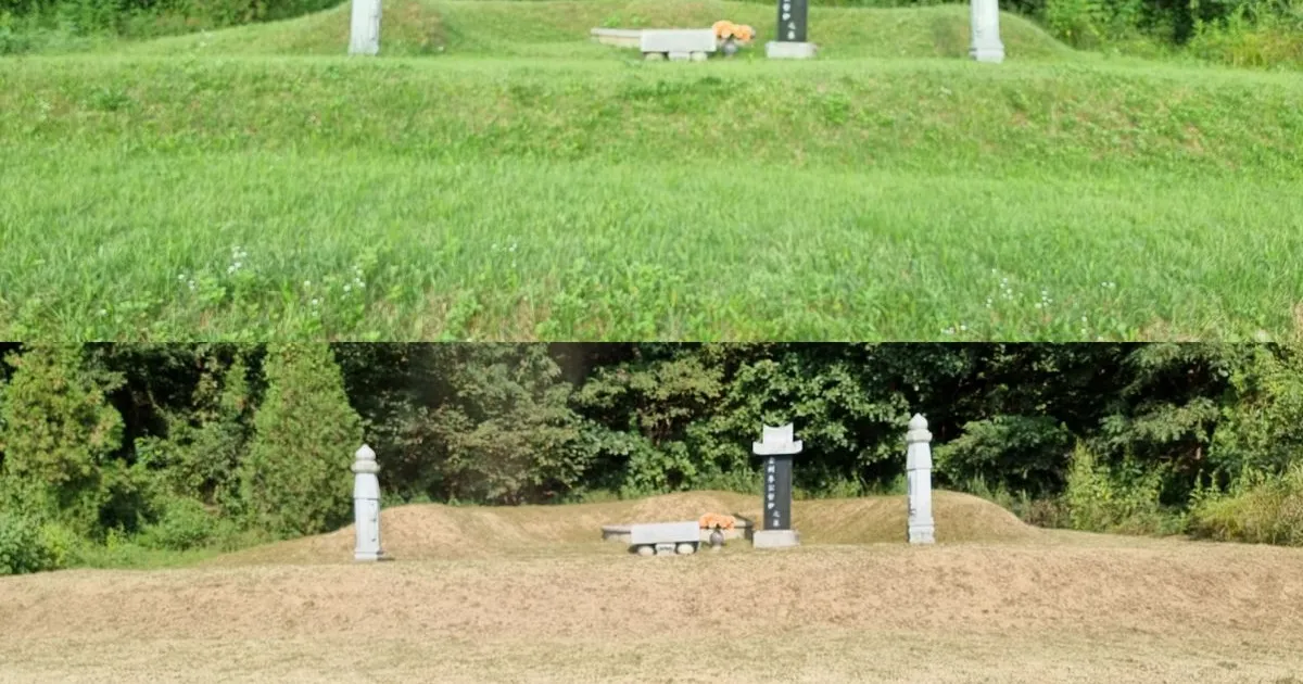 경기도 연천군 미산면 벌초 조수범 숨고 숨은고수
