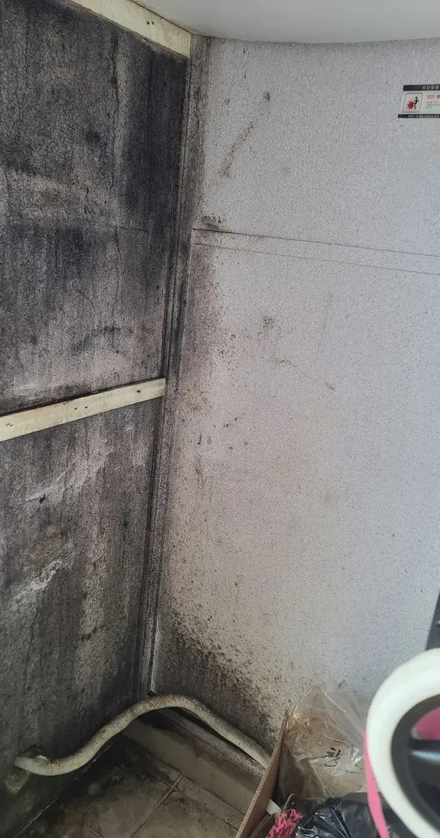 곰팡이 작업은 밑작업과 박멸이 정말 가장 중요 합니다 대신클린곰팡이단열시공 국가기술 자격증 보유 숨고 숨은고수