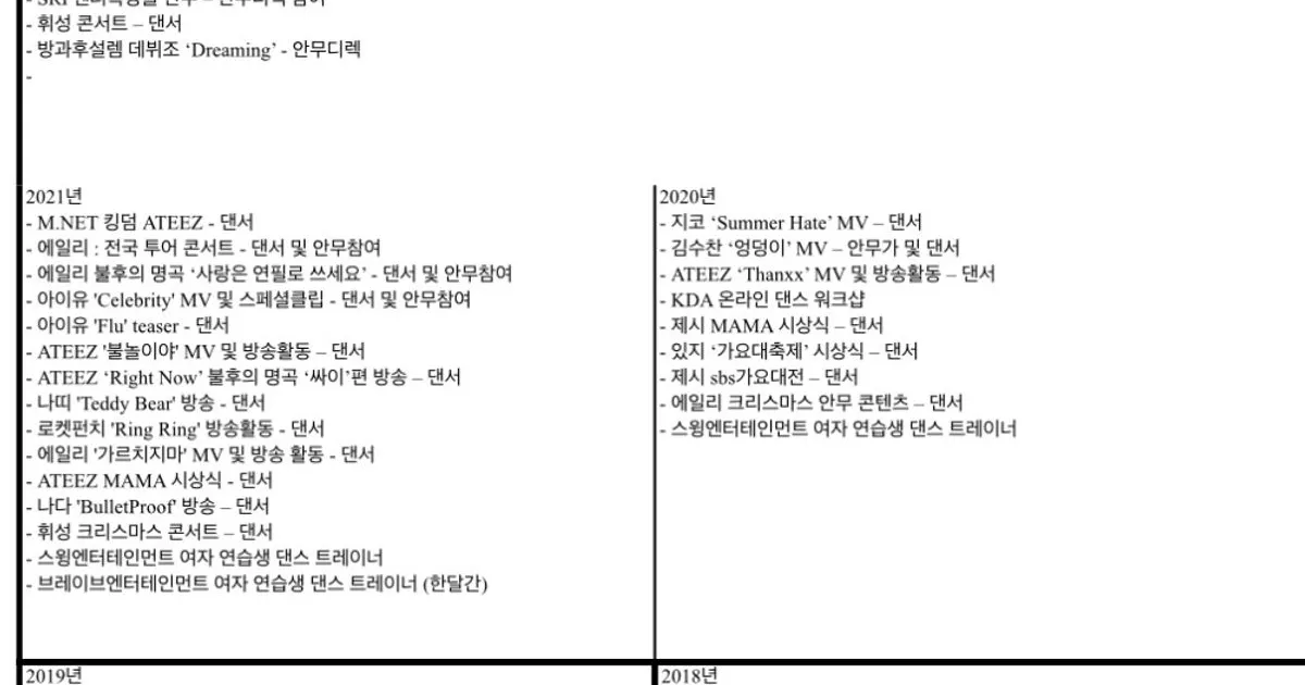 경력사항 허소미 숨고 숨은고수