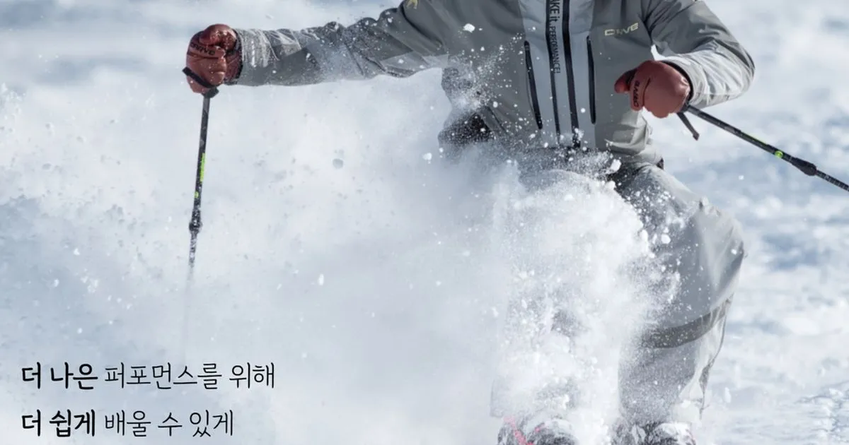 스키어스 아카데미 스키어스 아카데미 숨고 숨은고수
