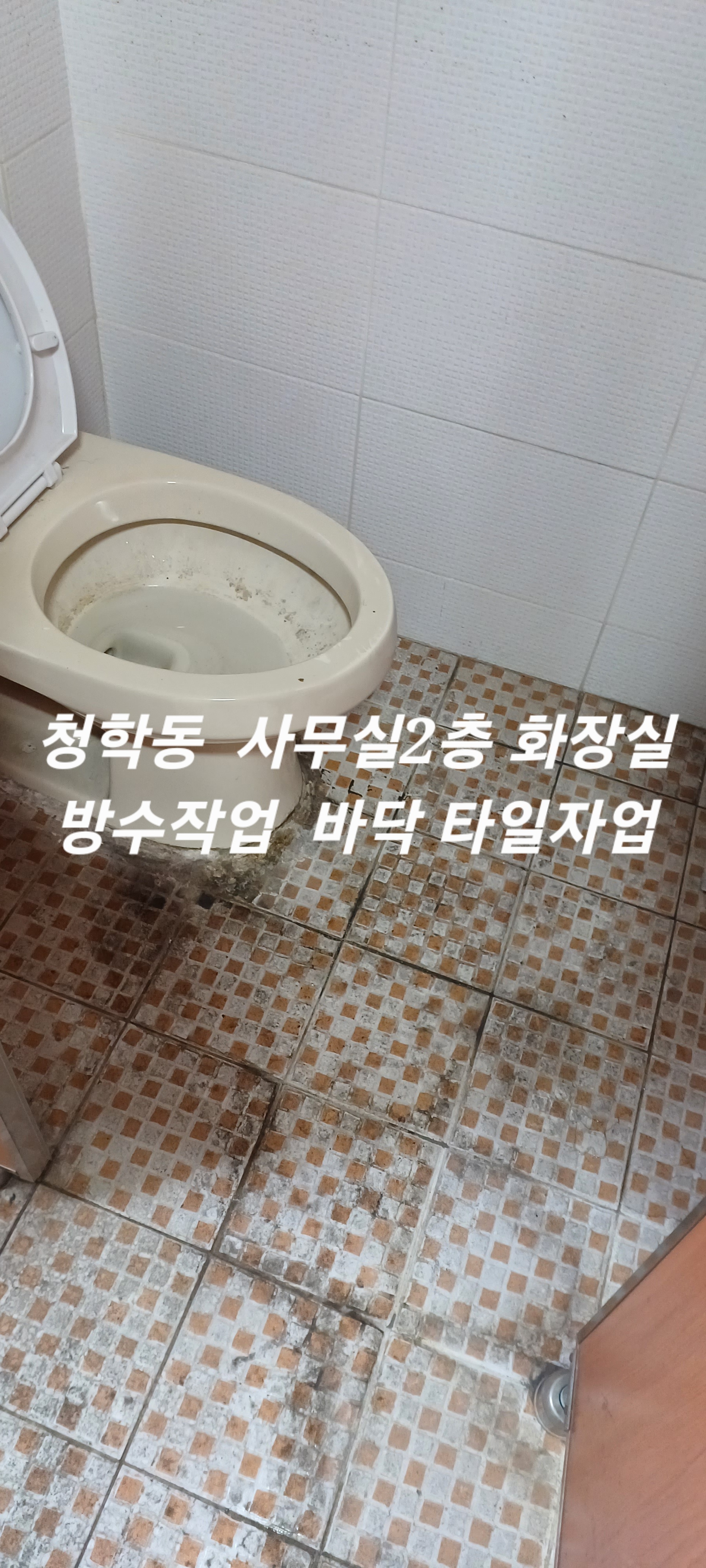 화장실 누수로 방수및 바닥시공 유봉식 숨고 숨은고수