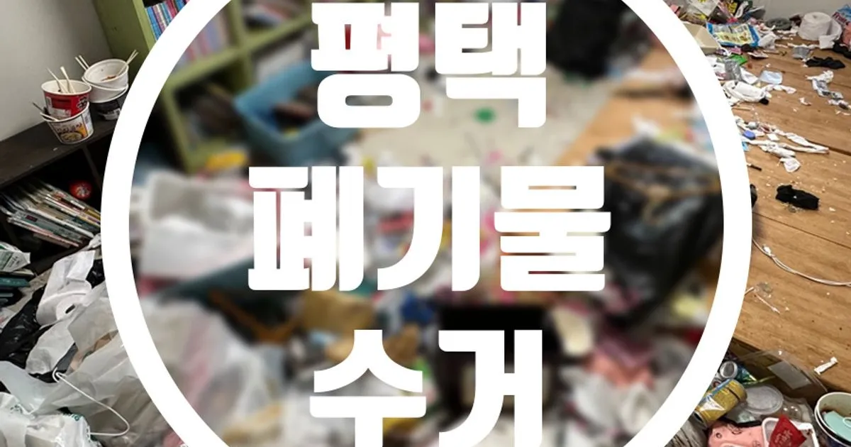 평택 폐기물수거 서비스 봄봄의 정리 숨고 숨은고수