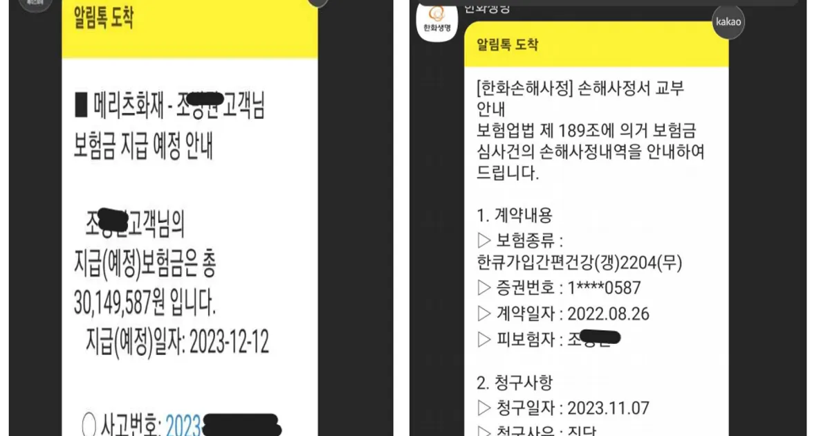 뇌혈관질환 5천만원 청구 지급 사례 보험 청구의 모든 것 안영주 설계사입니다 숨고 숨은고수