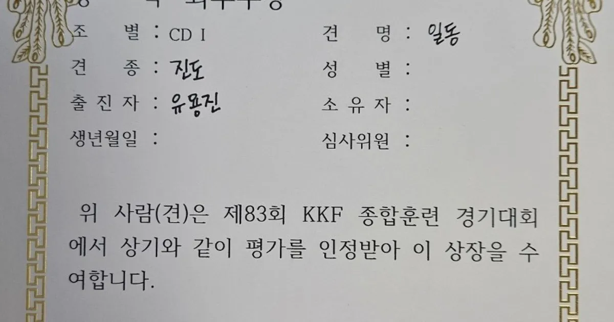한국 애견 연맹 가정견 대회 우승 유용진 숨고 숨은고수