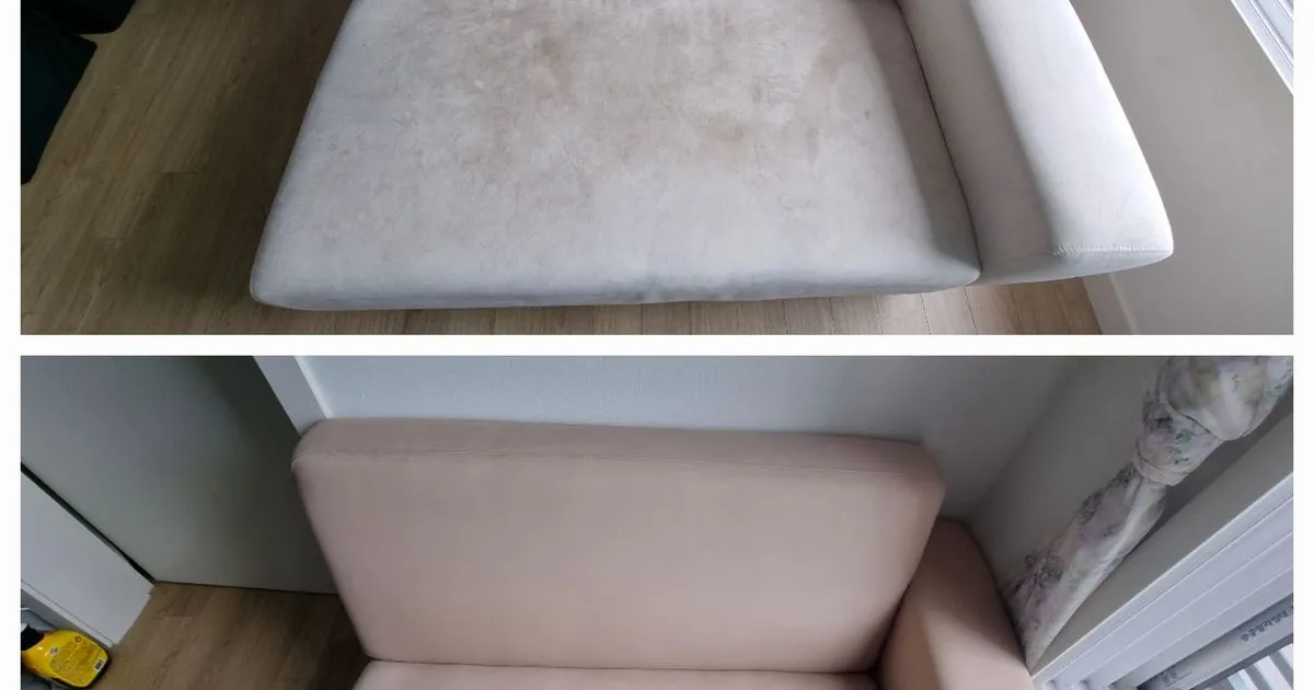 2인용 소파 강아지 오줌얼룩 냄새제거 주블리홈케어 숨고 숨은고수
