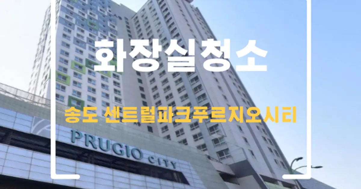 송도 센트럴파크푸르지오시티 화장실청소 리프레싱 클린 숨고 숨은고수